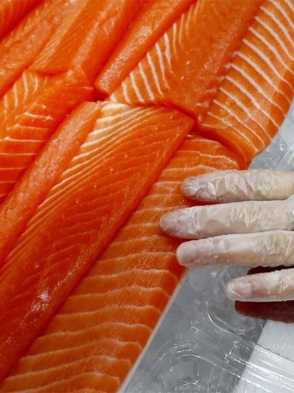 Diet and MS Research in the Media | | MS Nutrition Research